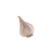 White Plastic Imitation Garlic - 2 1/2"L