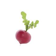Red Plastic Imitation Beet - 2 1/2"L