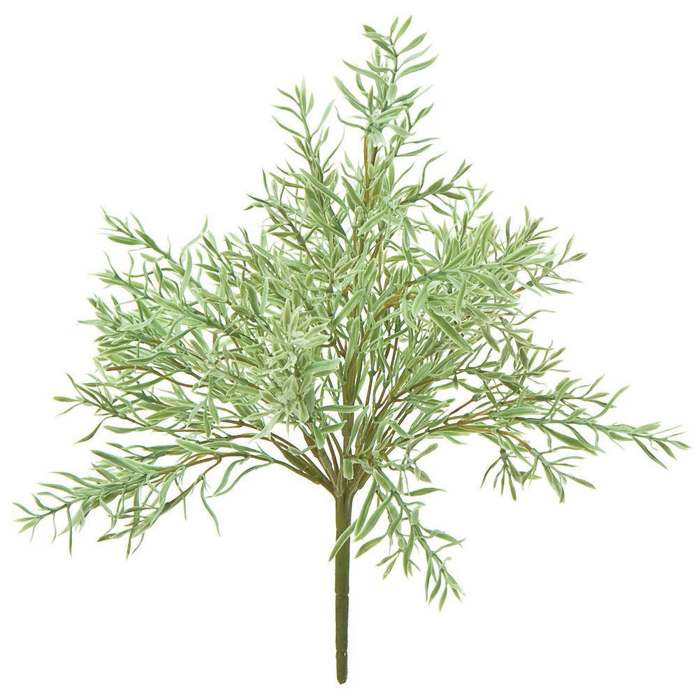 Green/Gray Rosemary Bush - 9"L