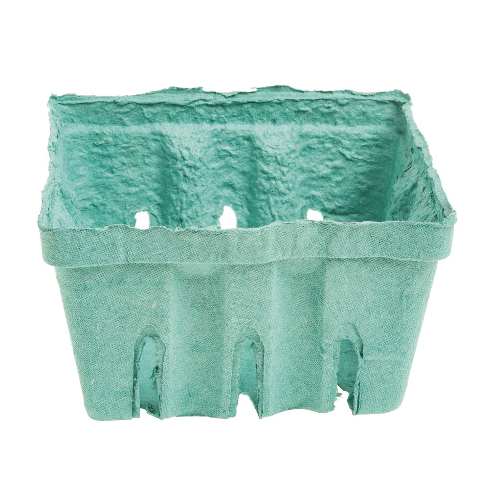 Pactiv YM336184 Quart Green Molded Pulp Tray - 5 1/2"Sq x 3 1/2"H