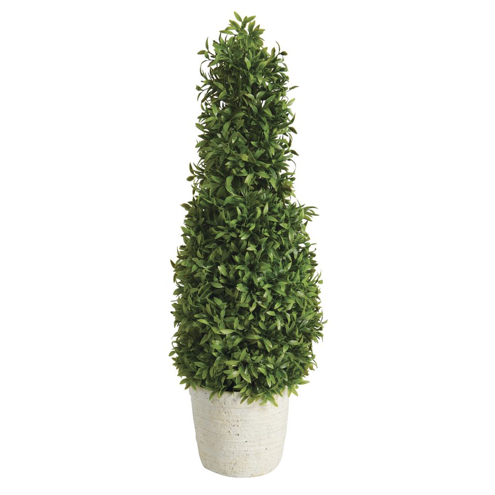 Park Hill Mountain Savory Cone Topiary, Large - 7 1/2"L x 7 1/2"W x 24"H
