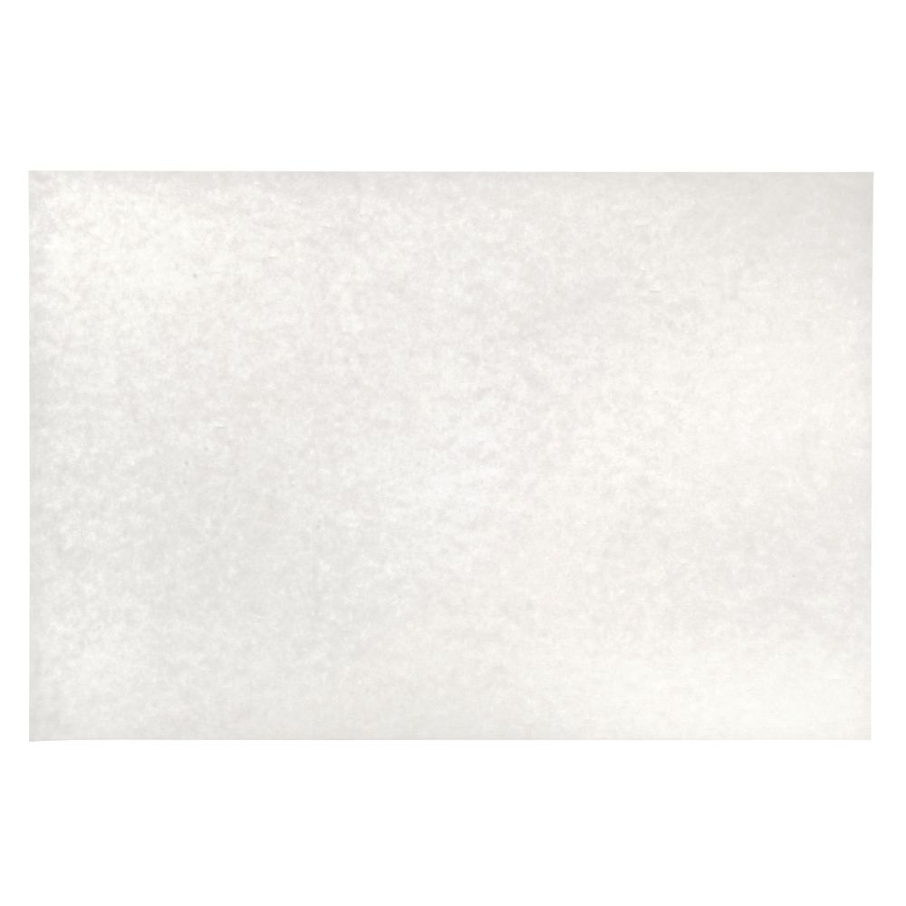Disco Inc. D1624S4 Shortening Filter Paper Sheets For Dean Fryers - 24 ...