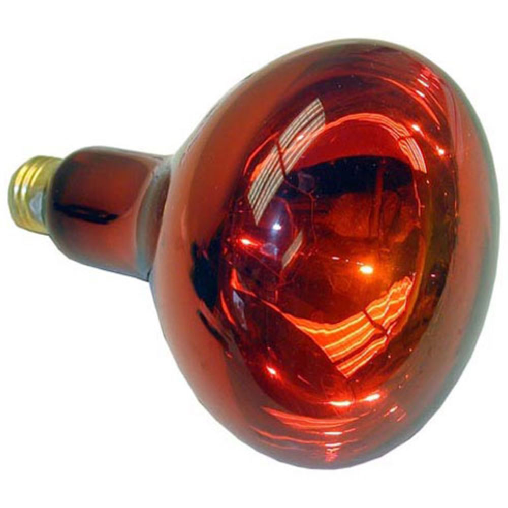 Allpoints INFRA-RED LAMP (PK 12) 120V, 250W - Allpoints Part# 381034