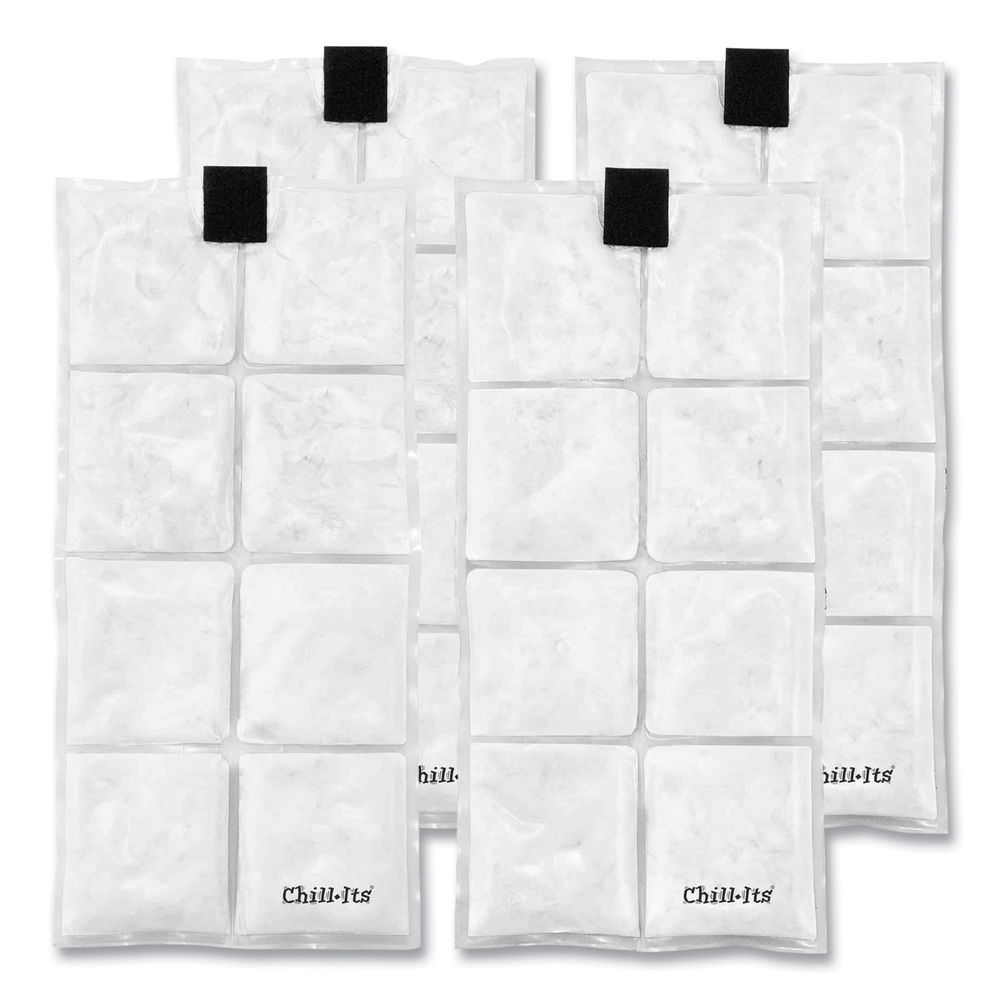ergodyne Chill-Its 6250 Lightweight Phase Change Cooling Packs, 6 x 13 ...