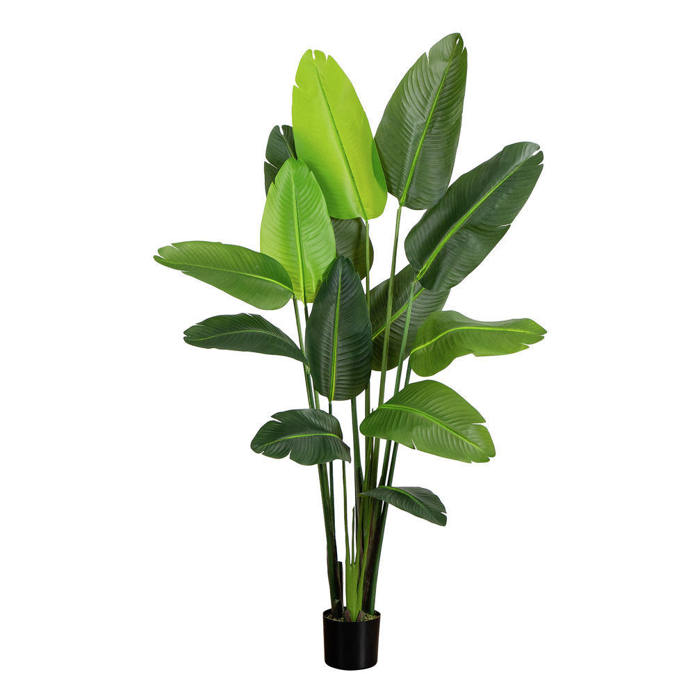 Nearly Natural 6' Artificial Travelers Palm Tree UV (Indoor/Outdoor)